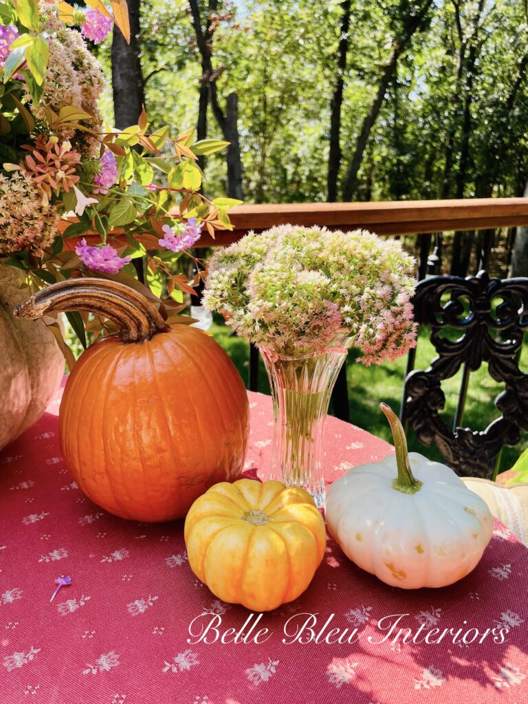A Blooming Pumpkin - Belle Bleu Interiors